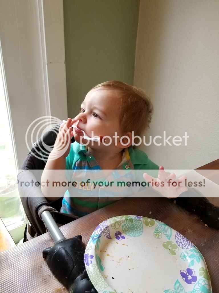 Photobucket can bite me. - Page 6 - AR15.COM